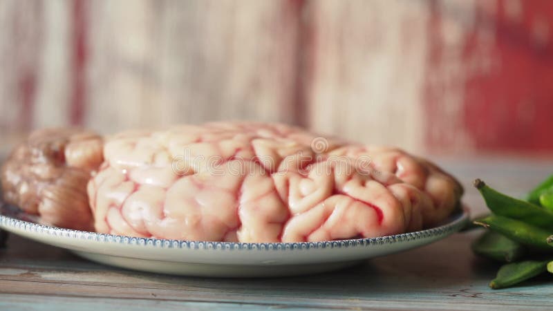 Animal brain on a plate stock footage. Video of serving - 368164350