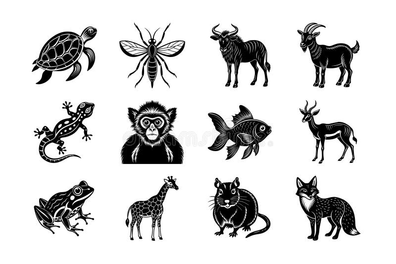 Animal Bundle Vector Art Illustration Stock Vector - Illustration of ...