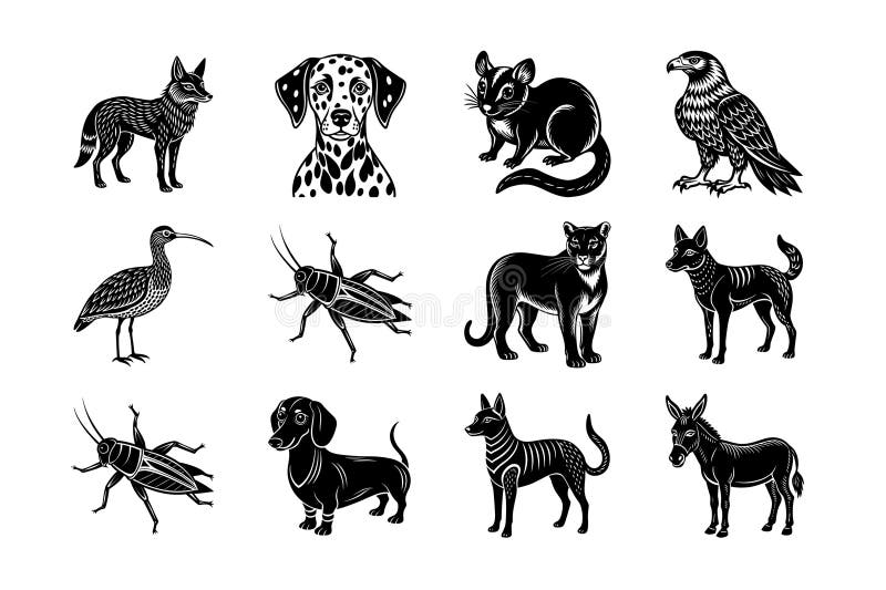 Animal Bundle Vector Art Illustration Stock Vector - Illustration of ...