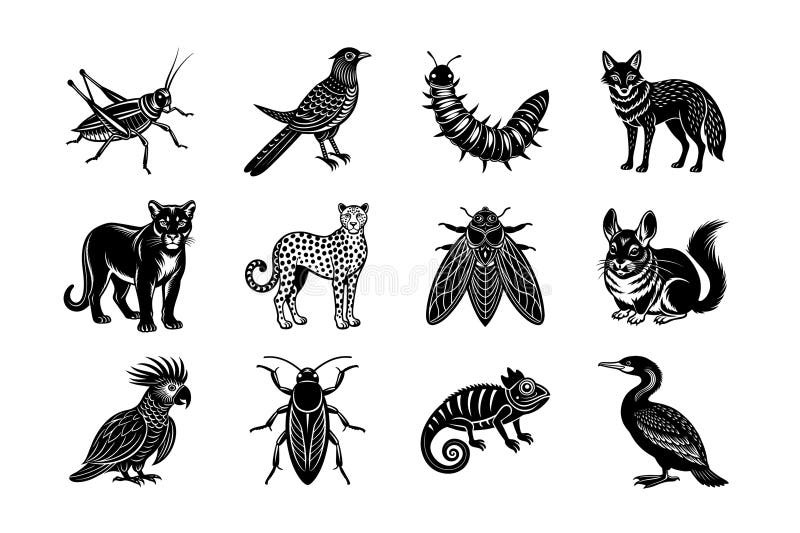 Animal Bundle Vector Art Illustration Stock Vector - Illustration of ...