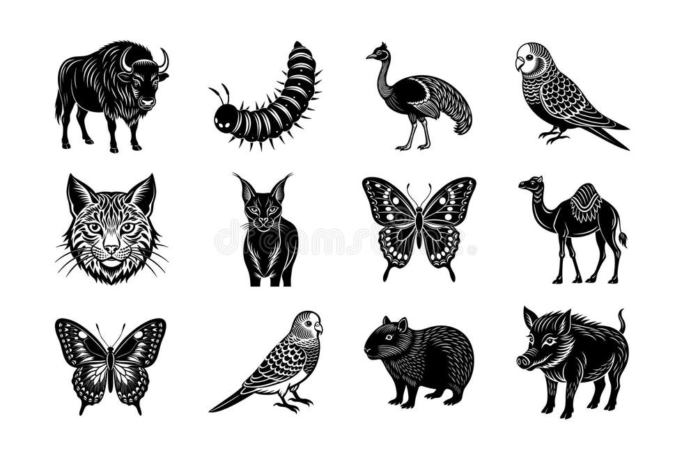 Animal Bundle Vector Art Illustration Stock Vector - Illustration of ...