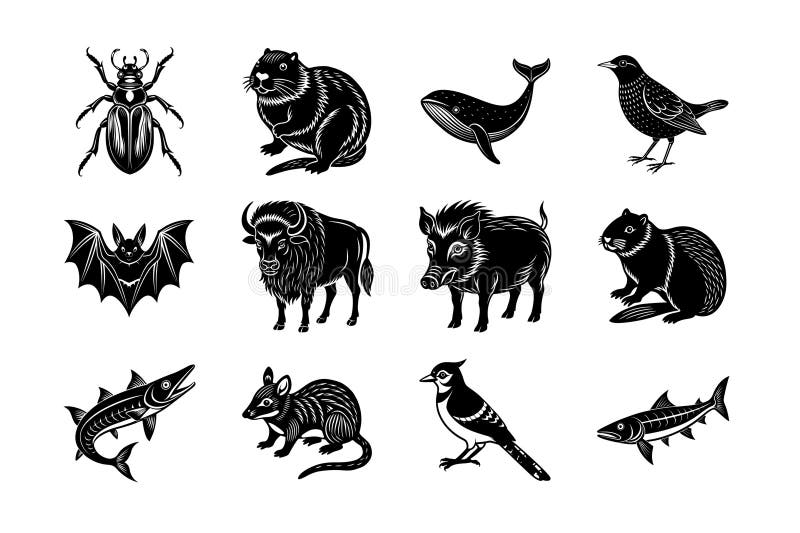 Animal Bundle Vector Art Illustration Stock Illustration - Illustration ...