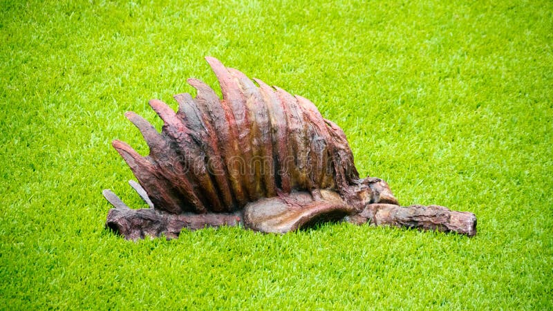 Animal carcass stock photo. Image of nature, decease - 69378828