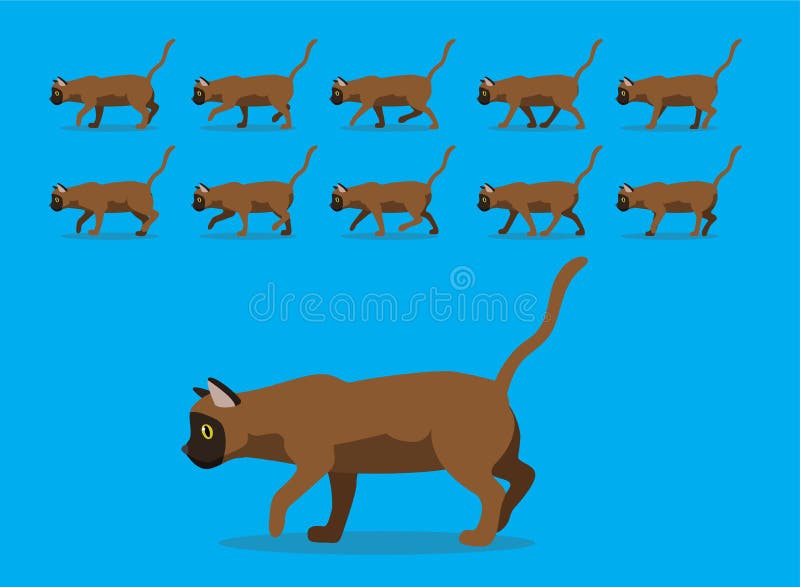 Animal Animation Sequence Burmese Cat Cartoon Vector Stock Vector ...