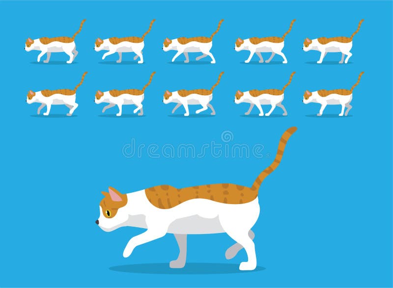 Walking Cat Animation Cat Walk (GIF) :: Behance