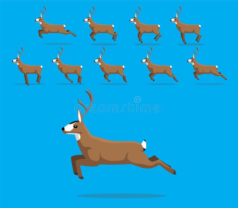 Animal Animation Sequence Mule Deer Cartoon Vector Stock Vector ...