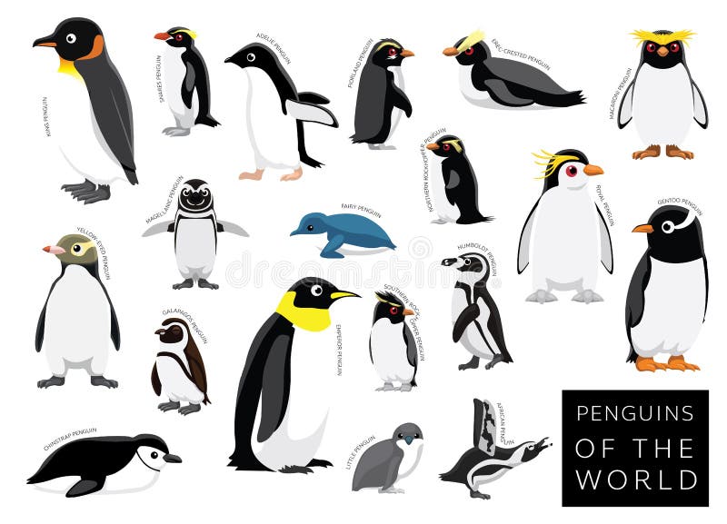 Birds Penguins of the World Set Cartoon Vector Character Stock Vector ...