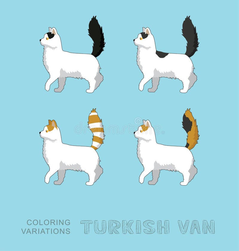 Cat Turkish Van Coloring Variations Vector Illustration Stock Vector ...