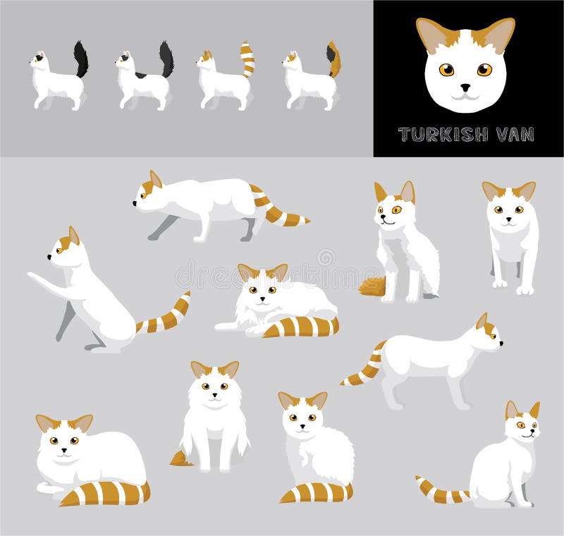 Cat Turkish Van Cartoon Vector Illustration Color Variation Set Stock ...