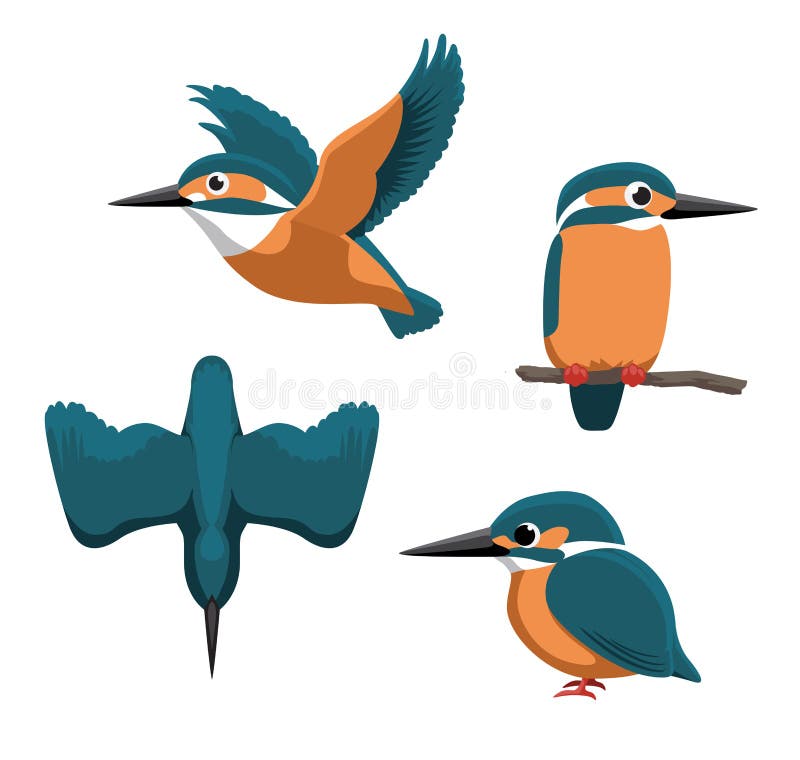Common Kingfisher Cartoon Vector Illustration Stock Vector ...