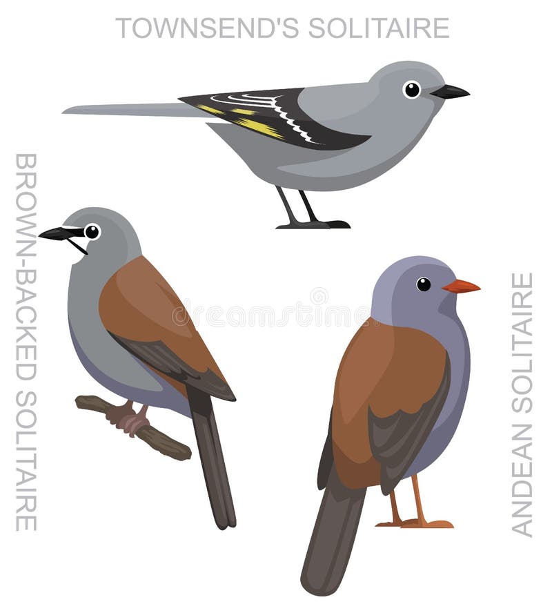 Cute Bird Solitaire Set Cartoon Vector Stock Vector - Illustration of ...