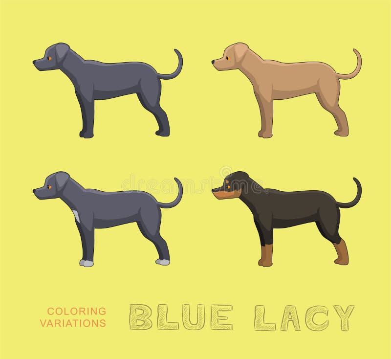 Dog Blue Lacy Coloring Variations Cartoon Vector Illustration Stock ...