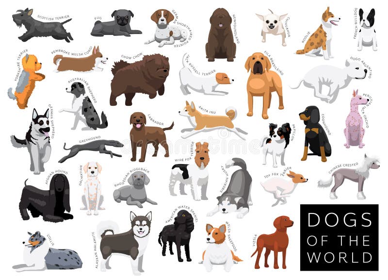Dogs of the World Set Cartoon Vector Character Stock Vector ...