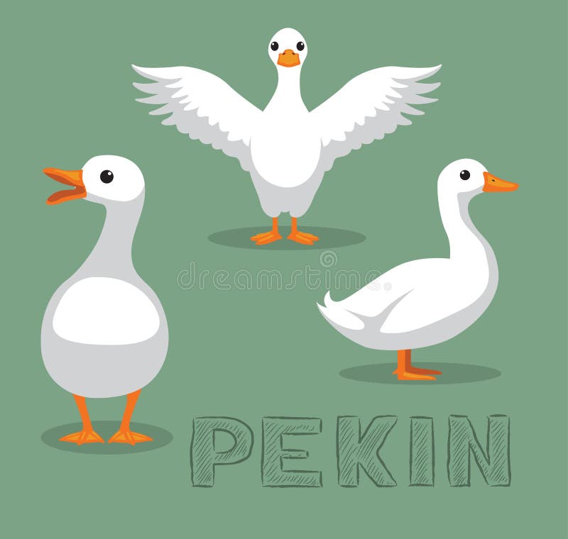 Peking Duck Stock Illustrations – 1,527 Peking Duck Stock Illustrations ...