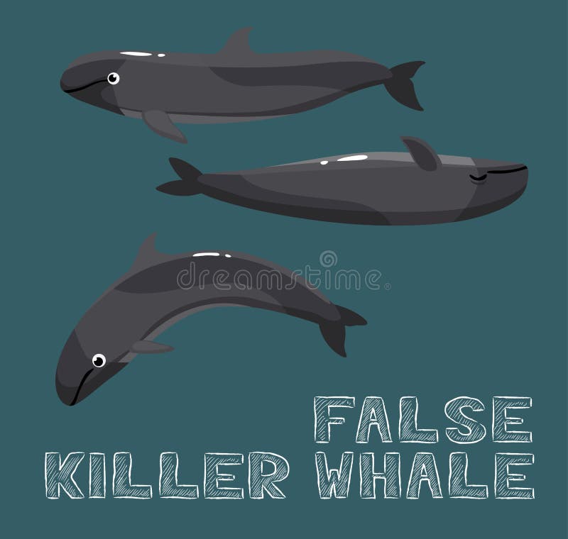 False Killer Whale Cartoon Vector Illustration Stock Vector ...