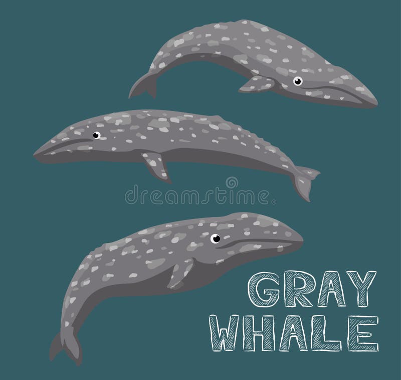 Gray Whale Art