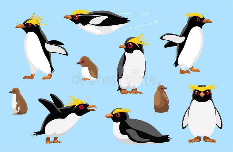 Macaroni Penguin Chick Cute Bird Winter Set Cartoon Vector Stock Vector ...