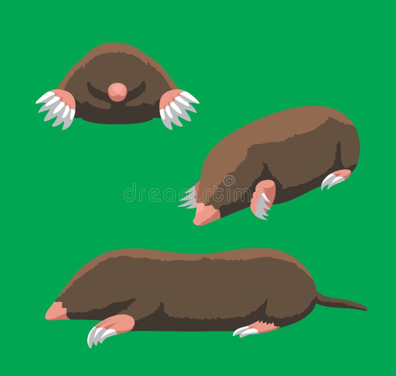 Mole Blind Green Background Poses Cartoon Vector Illustration Stock ...