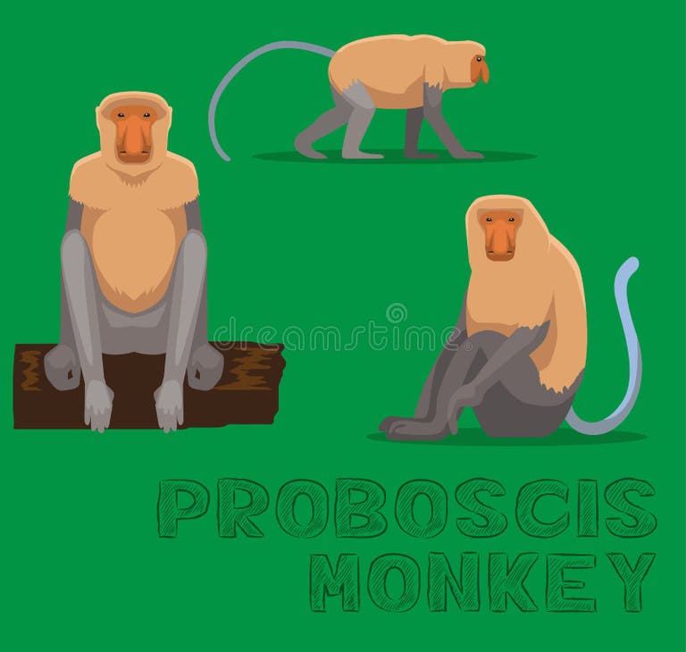 Monkey Proboscis Stock Illustrations – 630 Monkey Proboscis Stock ...