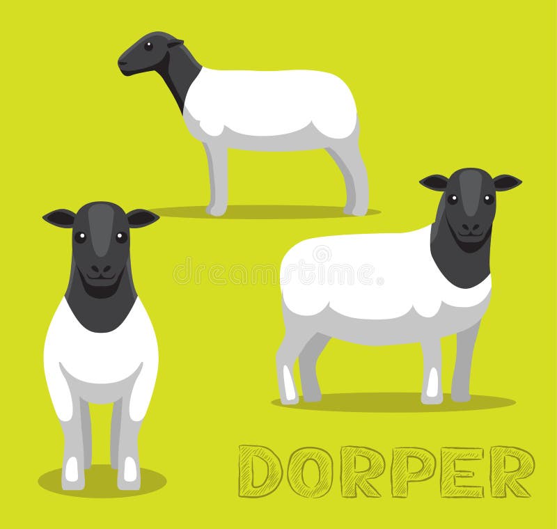 Dorper Sheep Stock Illustrations – 244 Dorper Sheep Stock Illustrations ...