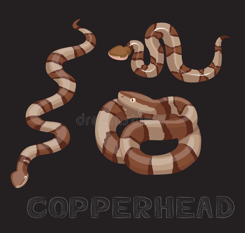 Snake Copperhead Cartoon Background Seamless Wallpaper Stock Vector ...