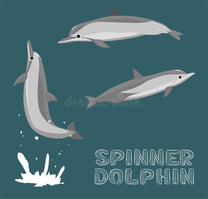 Spinner Dolphin Drawing
