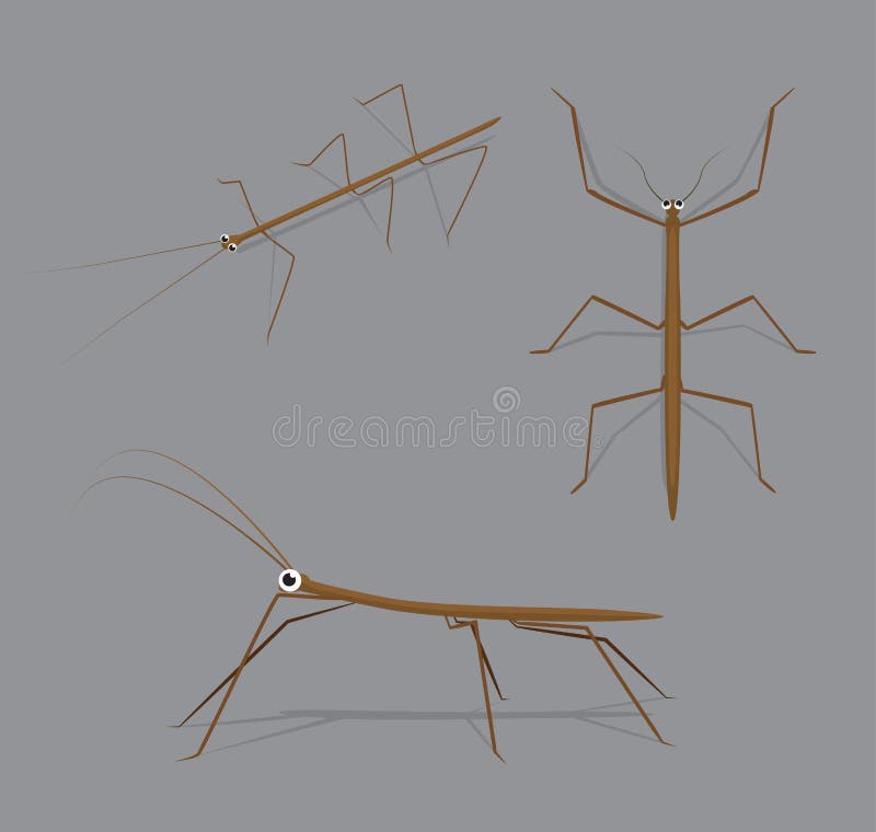 Stick Bug Poses Cartoon Vector Illustration Stock Vector - Illustration ...