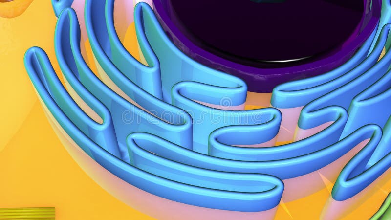 Animal Cell - Rough Endoplasmic Reticulum Stock Video - Video of ...