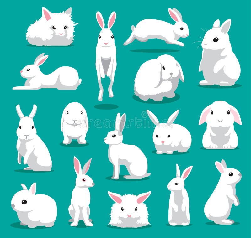 Cute White Rabbit Poses Cartoon Vector Illustration Stock Vector ...