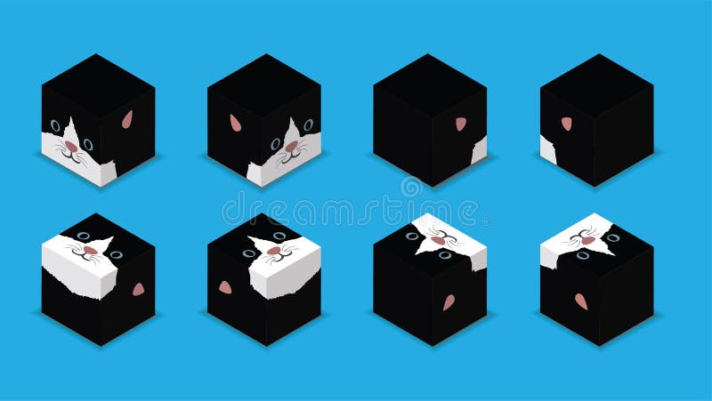 Animal Dice 3D Character Animal Kitty Cat Cartoon Vector Stock Vector ...