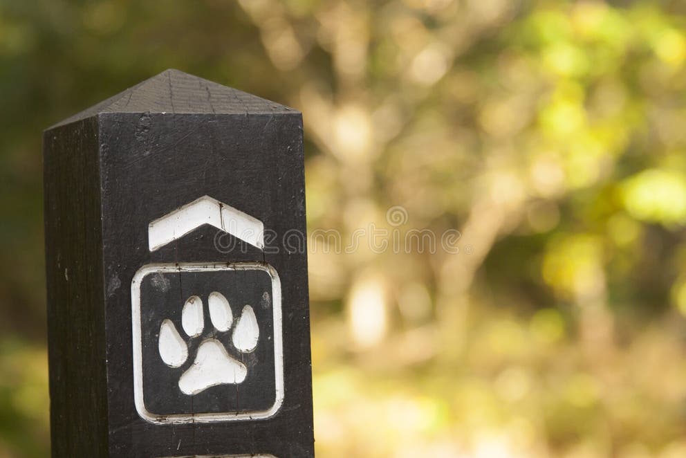 Animal claw sign stock photo. Image of point, warning - 28405724