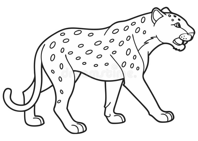 Leopard Outline Vector Illustration Black and White Vector Art for ...