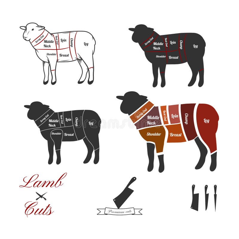 Animal cuts stock illustration. Illustration of sirloin - 155962154