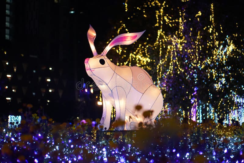 Animal Decoration Lighting Art Stock Photo - Image of animal, animals ...