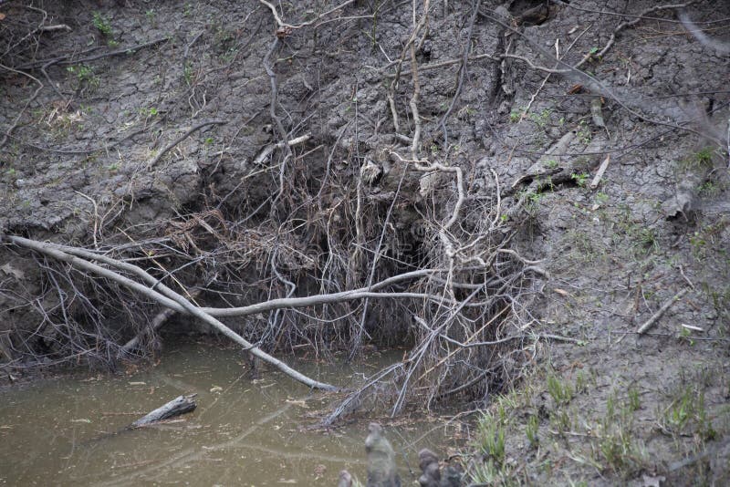 Animal Den at bank of lake stock photo. Image of country - 121360006
