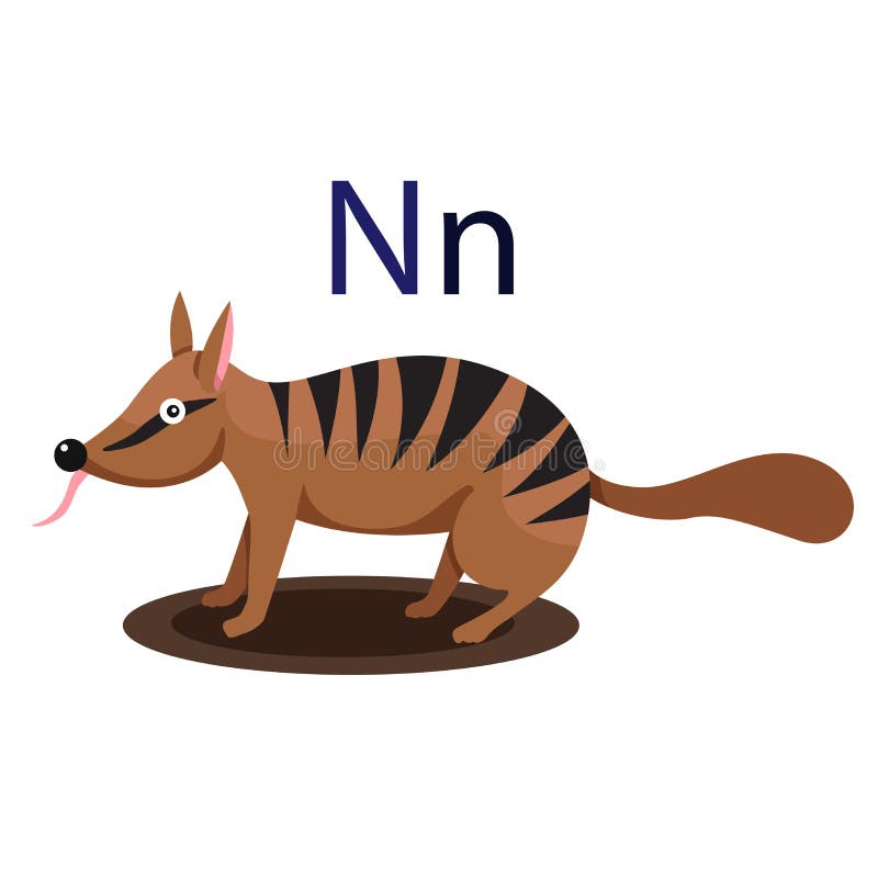 Animal Do Vetor Do Alfabeto De N Ilustração do Vetor - Ilustração de ...