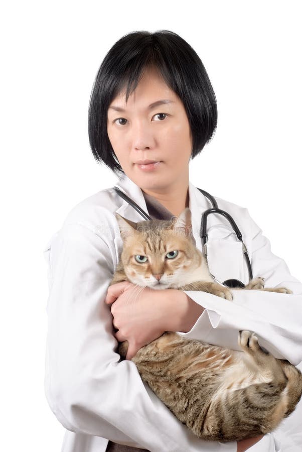 Animal Doctor Closeup with Pets Stock Photo - Image of examination ...