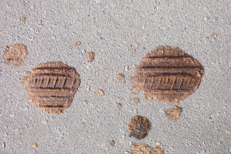 Animal Dung or Manure at the Cattle and Central Farms. Stock Image ...
