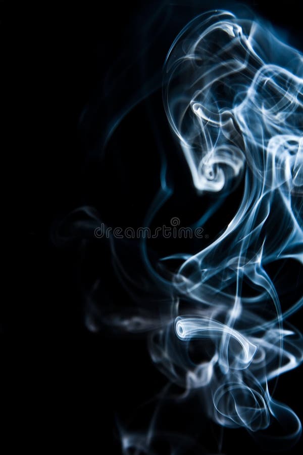 Animal en el humo, ghosty. imagen de archivo. Imagen de humo - 12062479