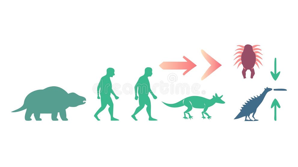 Various Evolution Stages Stock Illustrations – 334 Various Evolution ...