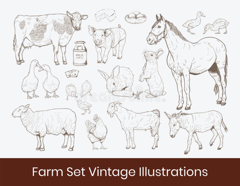 Animal Farm Set Bundle Sketch Illustration in Vintage Style Design ...