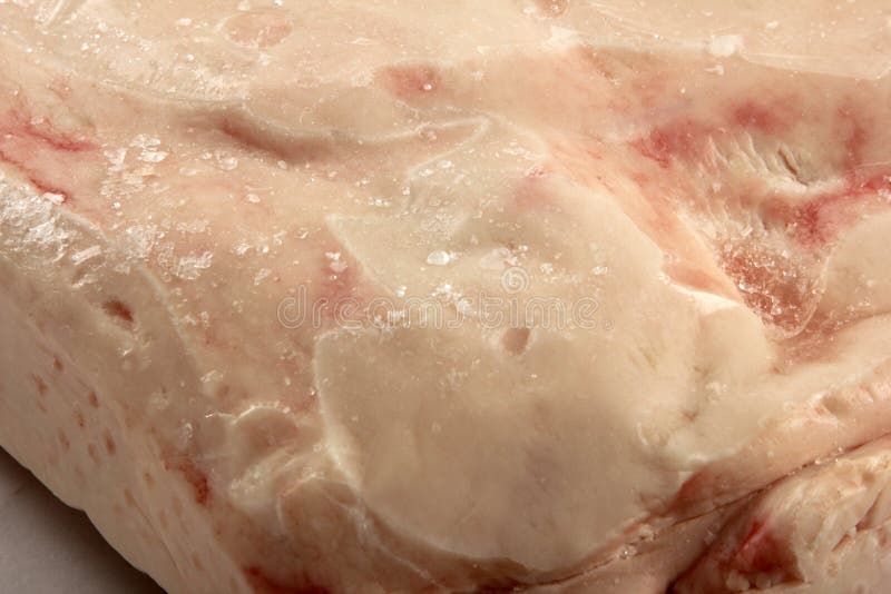 Animal fat stock photo. Image of fillet, detail, angus - 38327242