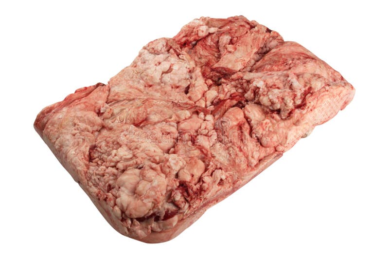 Beef bones stock photo. Image of agricultural, studio - 13230890