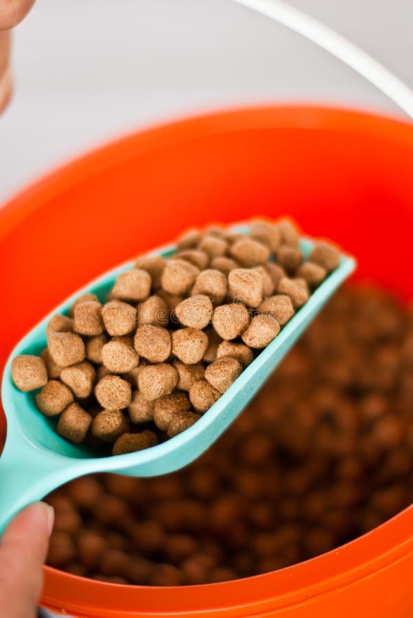 Animal Feed for Chicken and Pig Closeup with White Background. Photo ...