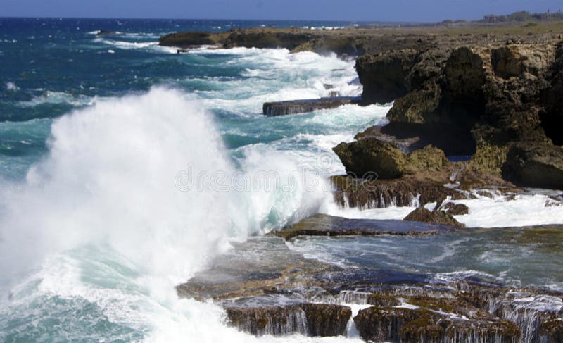 Animal Flower Cave on the Island of Barbados Stock Photo - Image of ...