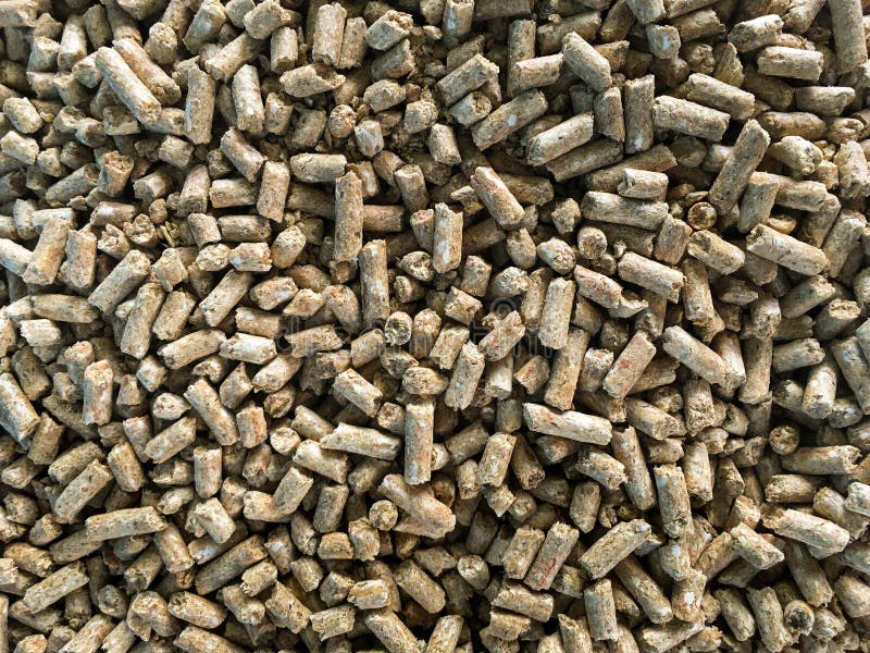 Animal food stock image. Image of food, plate, pellets - 6579389