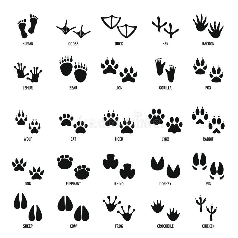 Fox Footprint Stock Illustrations – 982 Fox Footprint Stock ...