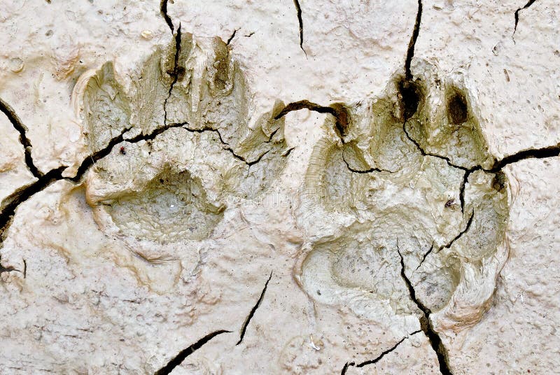 Moud Nice Stock Photos - Free & Royalty-Free Stock Photos from Dreamstime