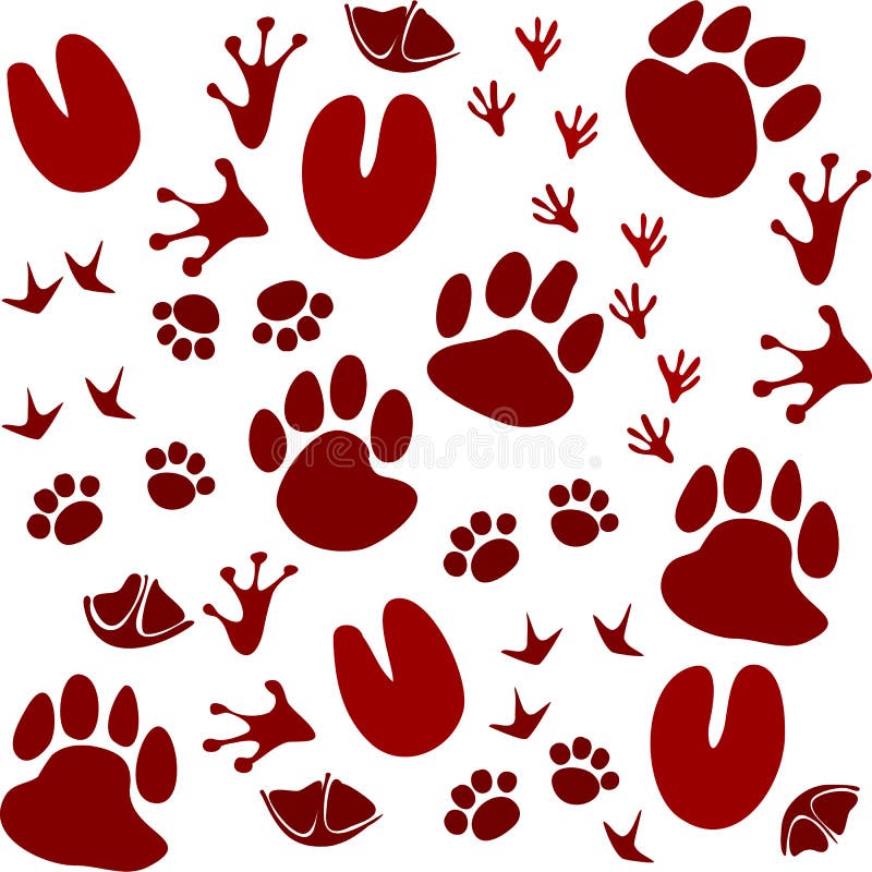 Impala Footprint Stock Illustrations – 62 Impala Footprint Stock ...