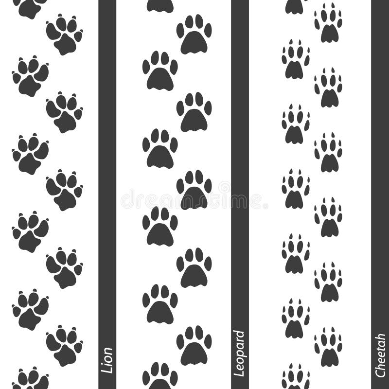 Animal Footprints Seamless Border Set Stock Vector - Illustration of ...